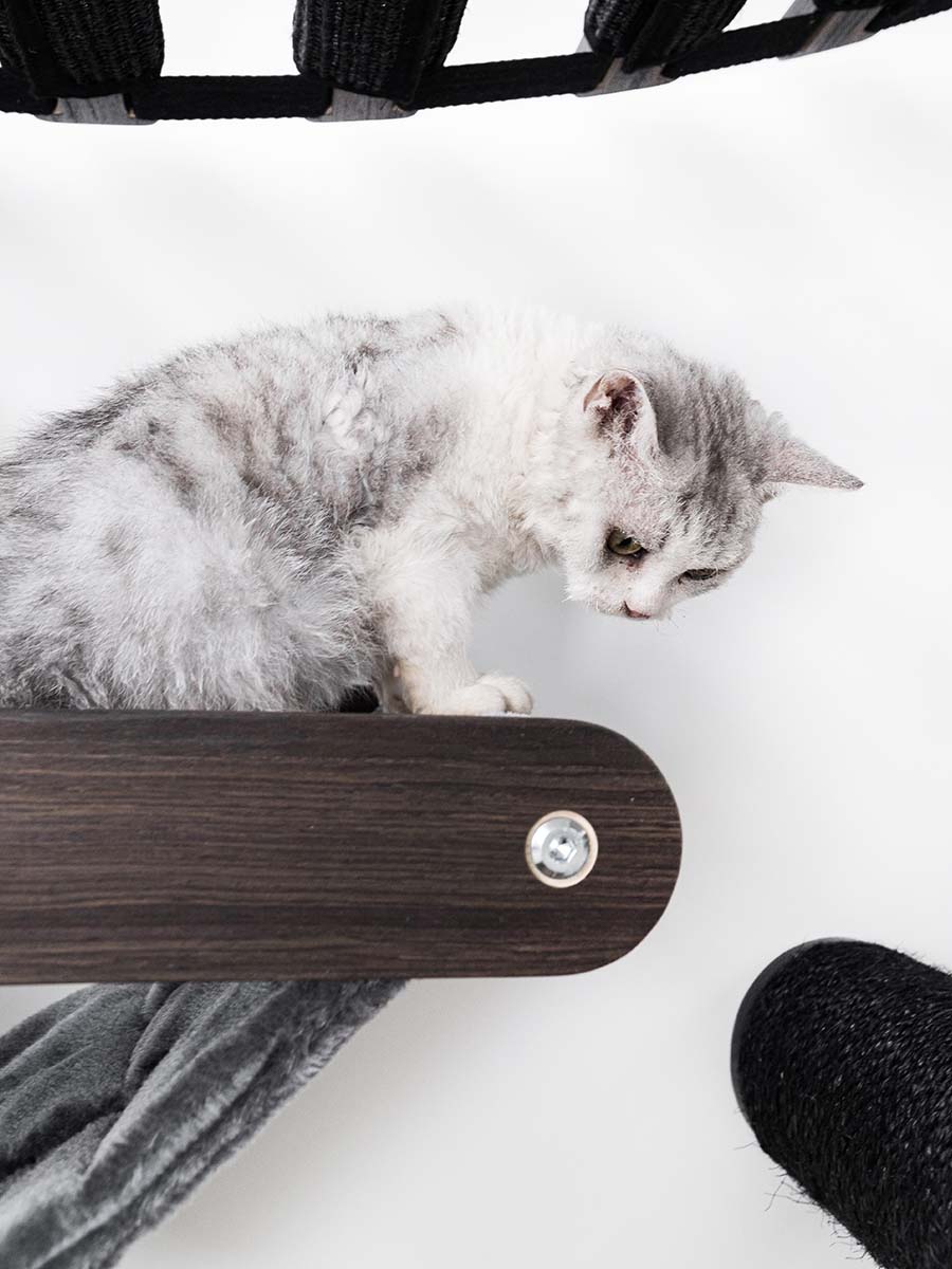 WandKratzbaum Lazy 50 - Wengé - Hängematte - design - Petrebels