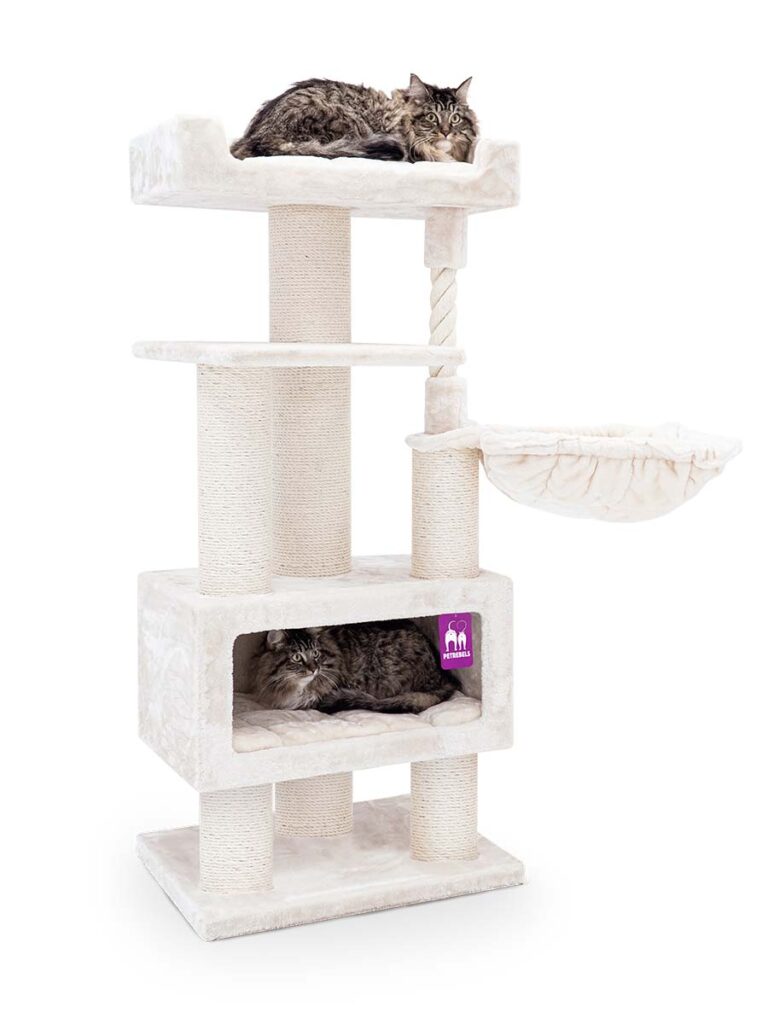 Cat Tree Expert: suitable for every cat | Petrebels