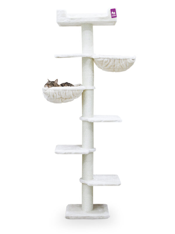 Cat Tree Expert: suitable for every cat | Petrebels