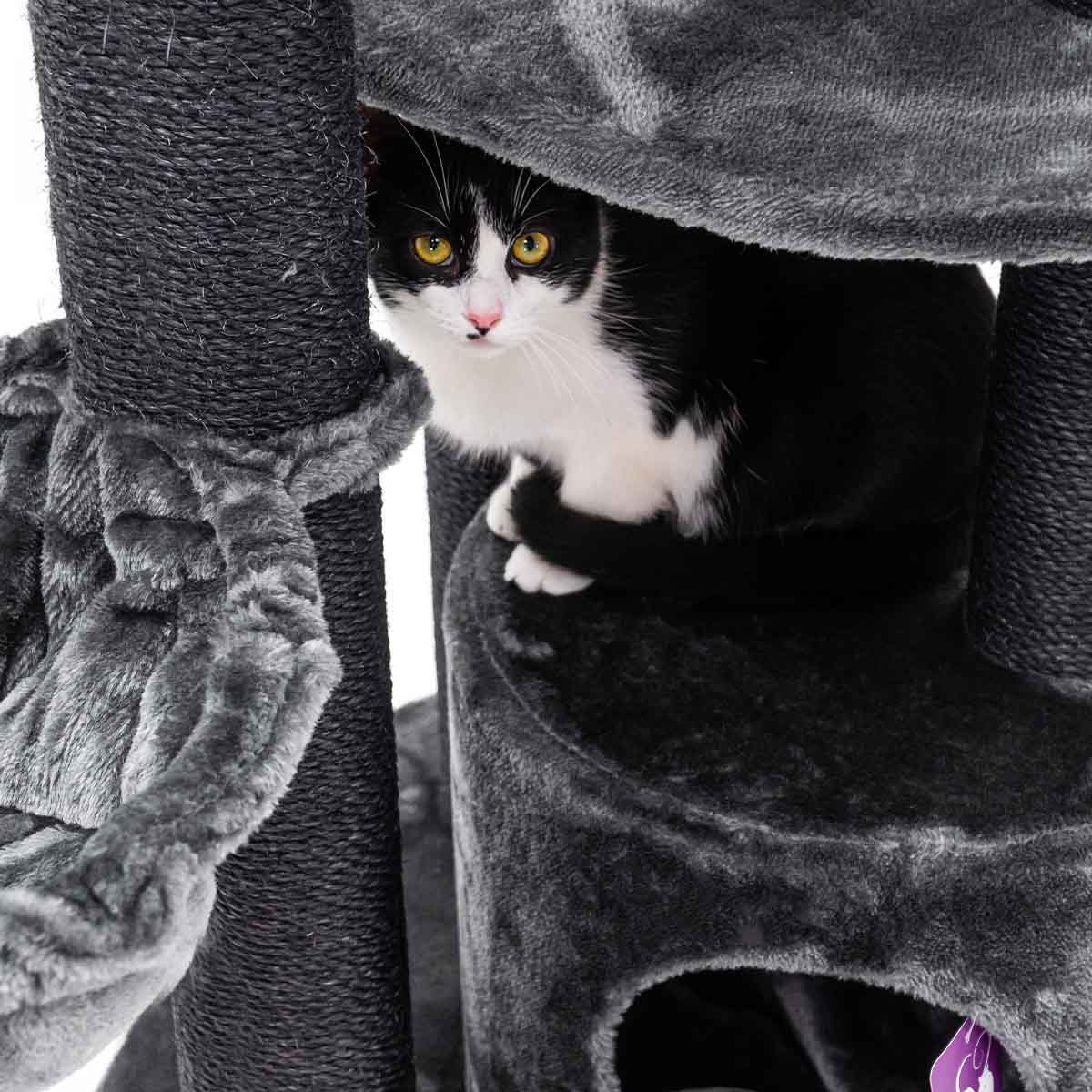 Cat tree Charlotte 180 - Pepper - 12cm Post - with hammock - Petrebels