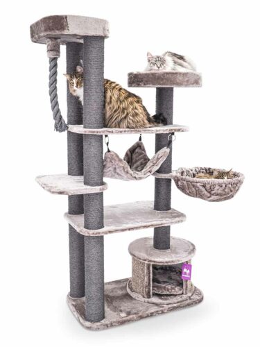 Cat Tree Expert: suitable for every cat | Petrebels