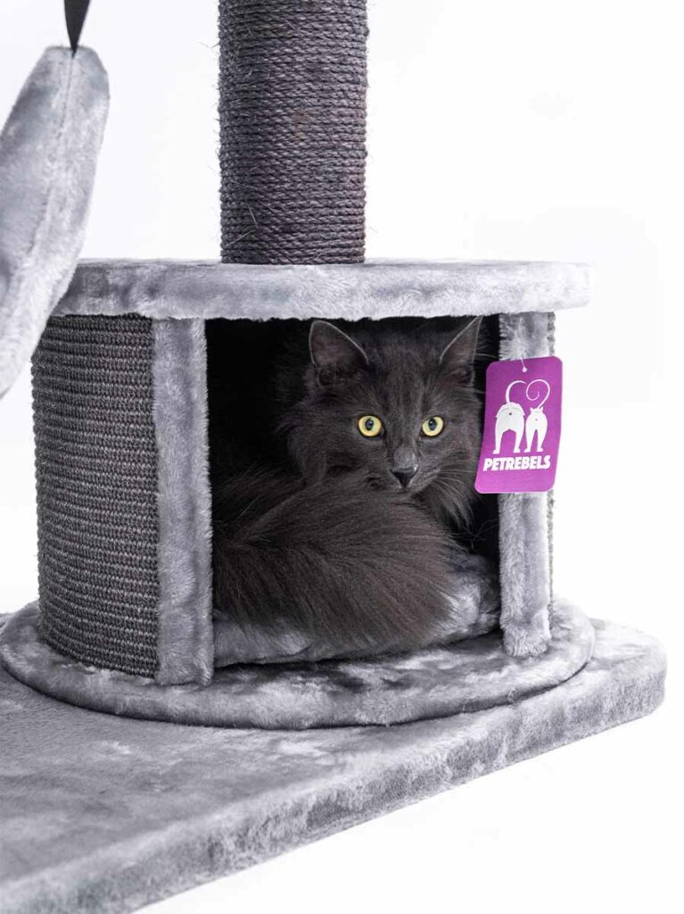 Cat tree Vista 170 - Petrebels