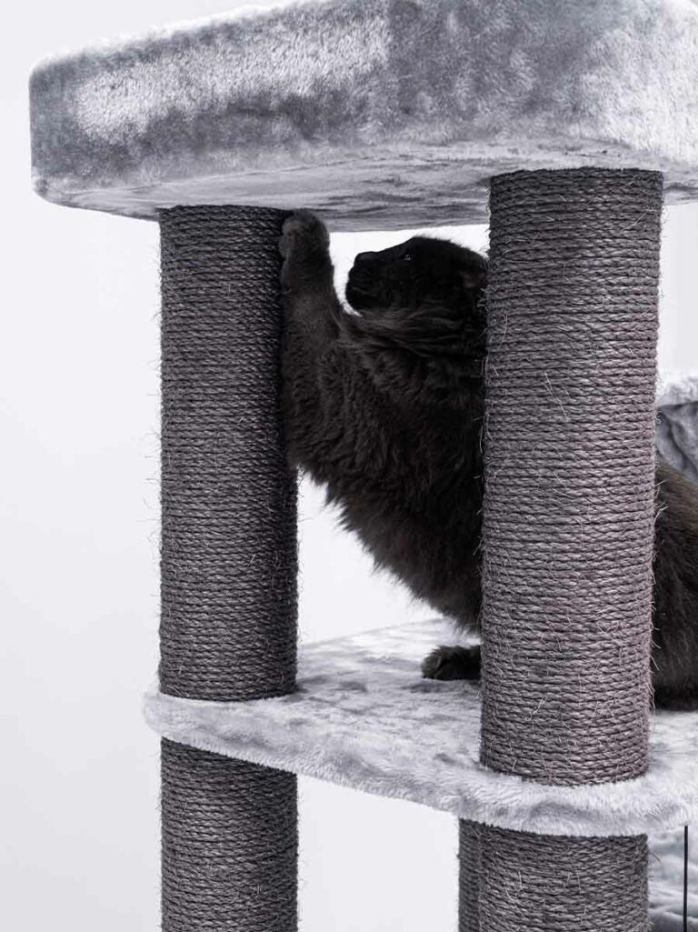 Cat tree Vista 170 - Petrebels