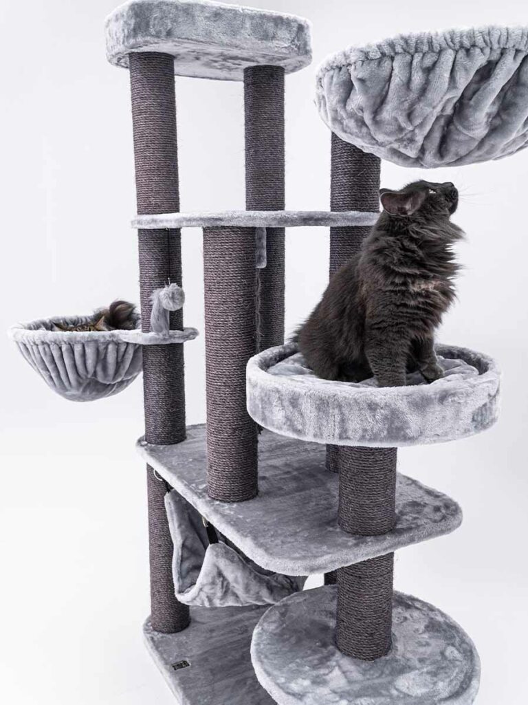 Cat tree Vista 170 - Petrebels