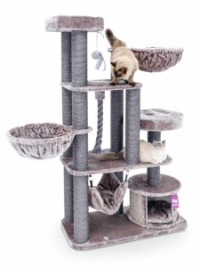 Cat Tree Expert: suitable for every cat | Petrebels