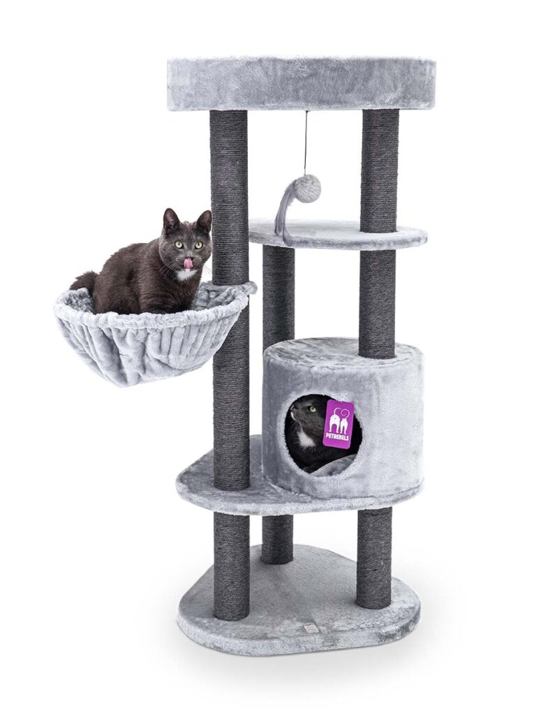 Cat Tree Expert: suitable for every cat | Petrebels