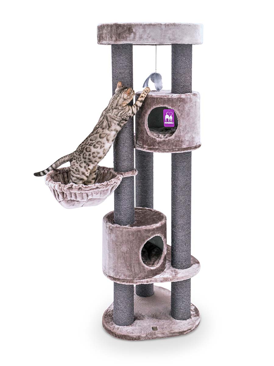 Cat Tree Expert: suitable for every cat | Petrebels