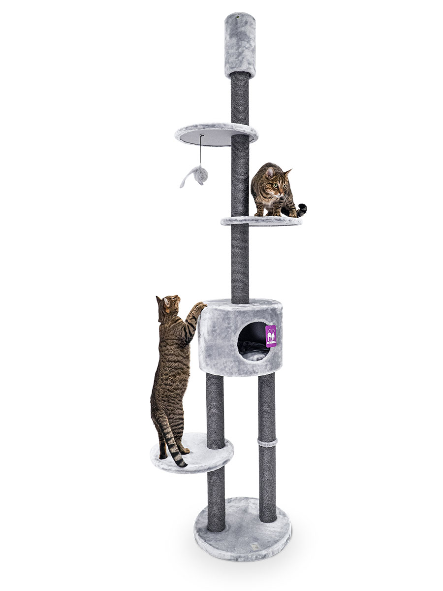 Cat Tree Expert: suitable for every cat | Petrebels