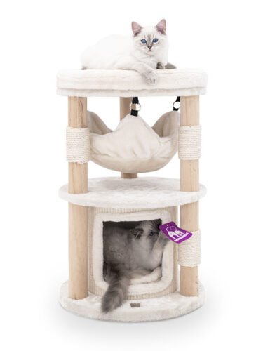 Premium Cat Tree for Every Cat | Big & Small