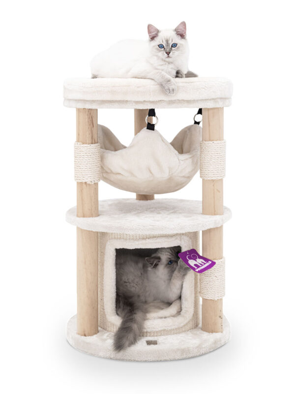 Premium Cat Tree for Every Cat | Big & Small