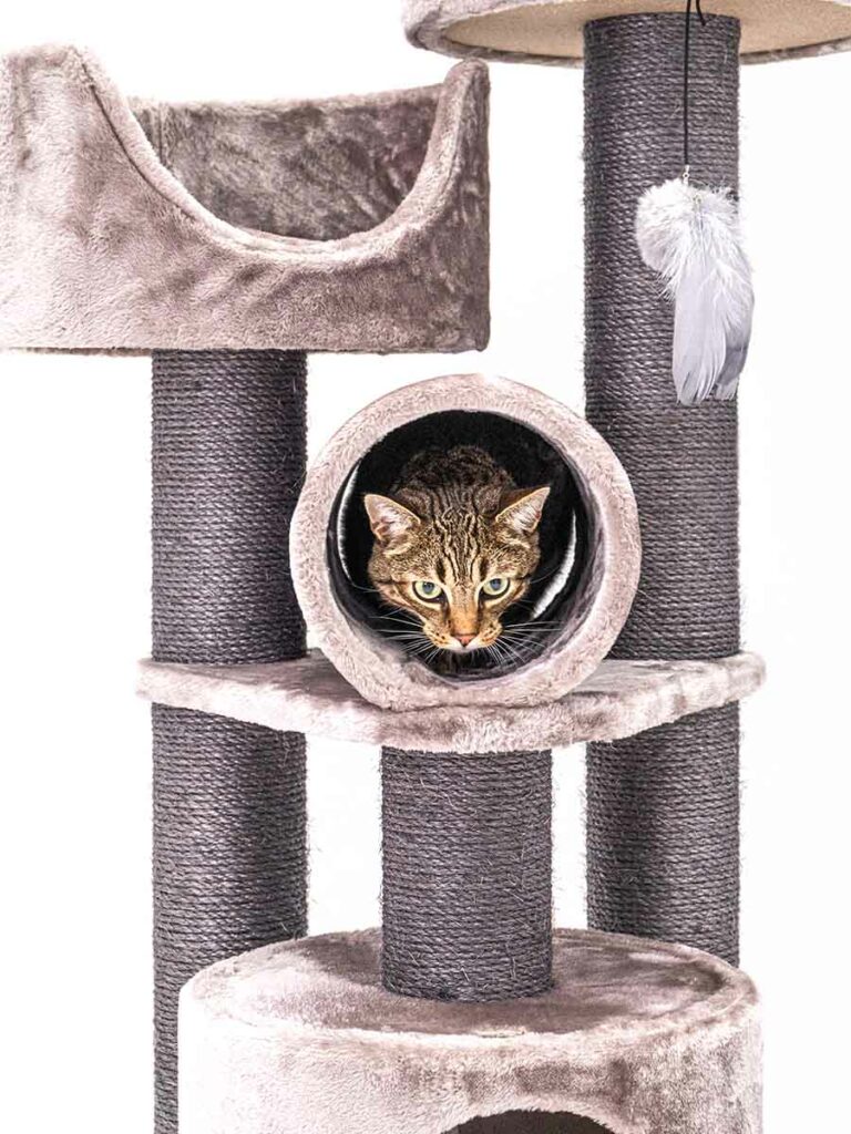 Cat tree Victoria 125 - Petrebels