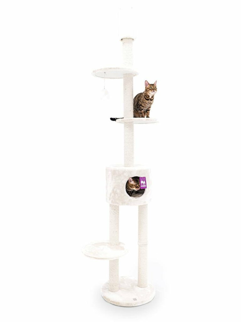 Cat Tree Expert: suitable for every cat | Petrebels