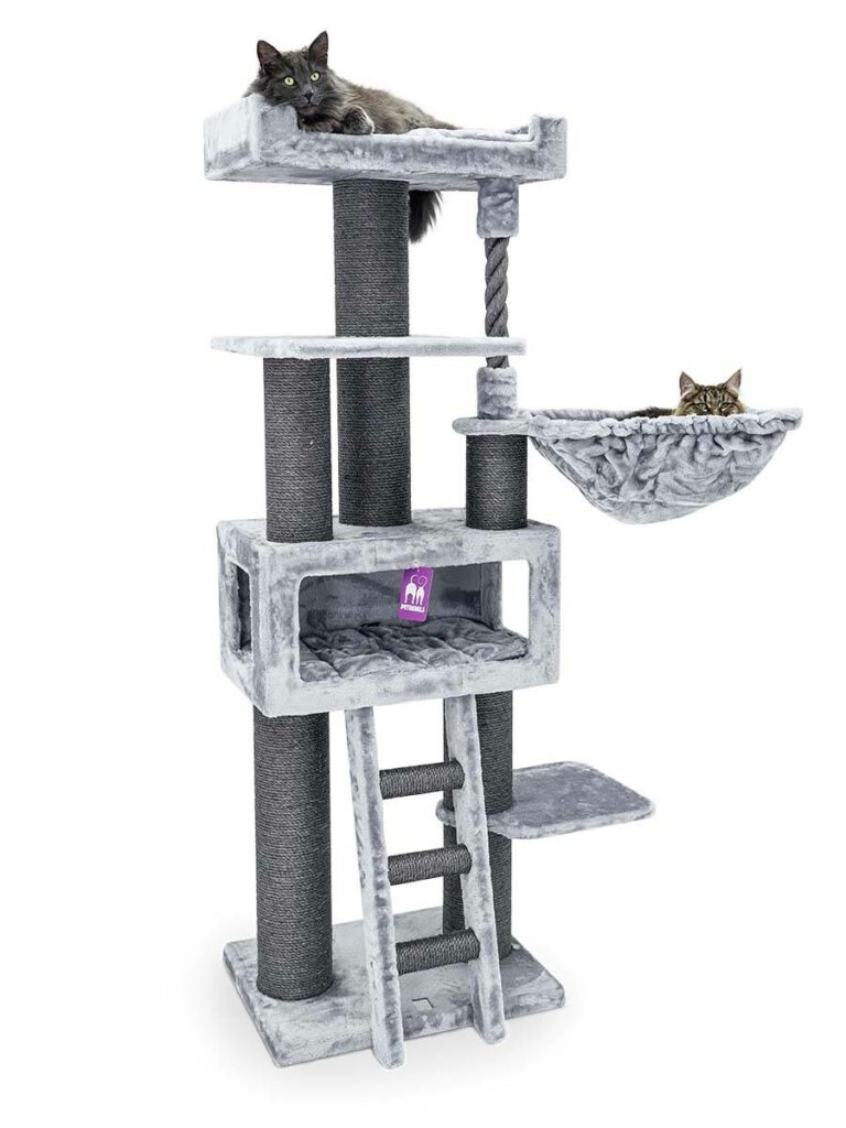 Cat Tree Expert: suitable for every cat | Petrebels