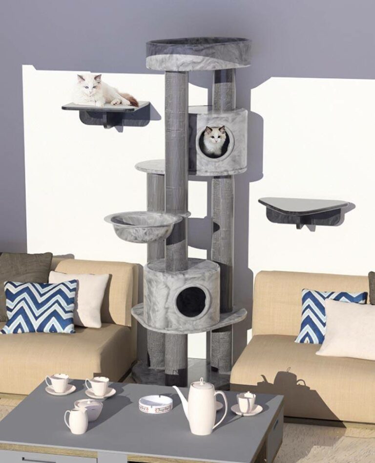 Cat Tree Expert: suitable for every cat | Petrebels