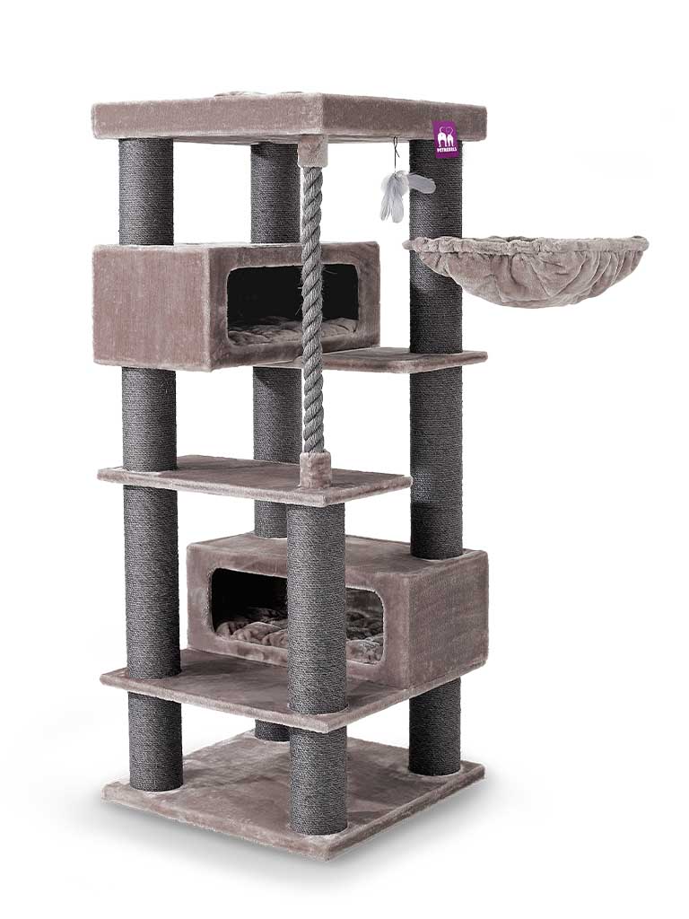 Cat Tree Expert: suitable for every cat | Petrebels
