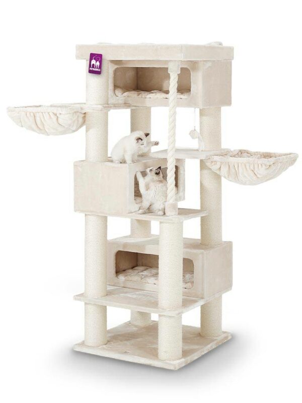 Cat Tree Expert: suitable for every cat | Petrebels