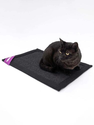 Cat Tree Expert: suitable for every cat | Petrebels