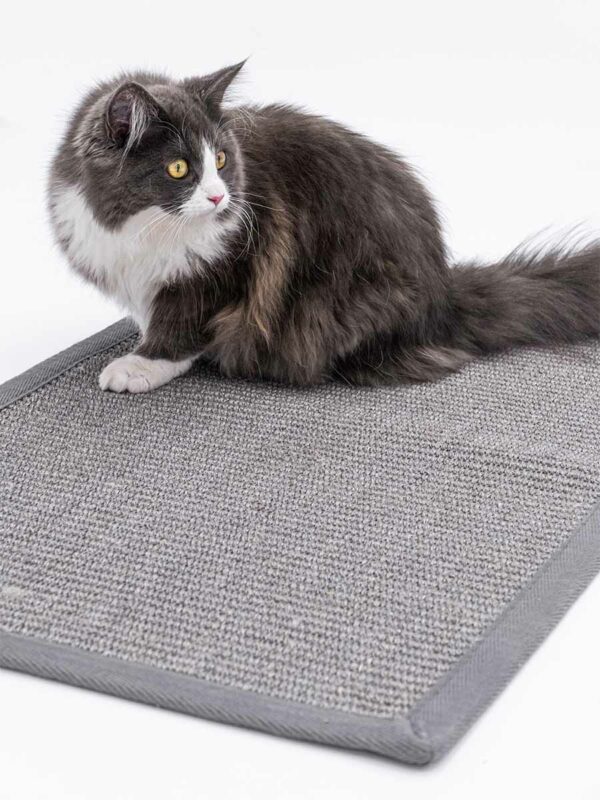 Cat Tree Expert: suitable for every cat | Petrebels