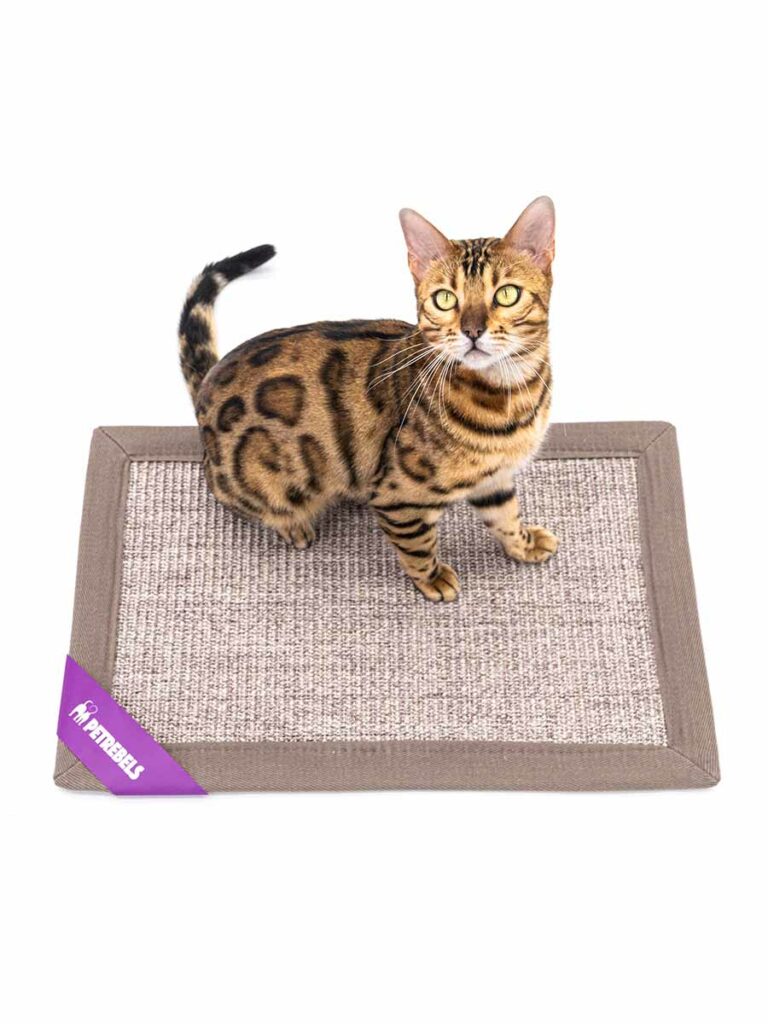 Mastermat 60 - Petrebels