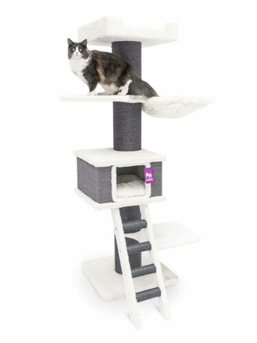 Cat Tree Expert: suitable for every cat | Petrebels