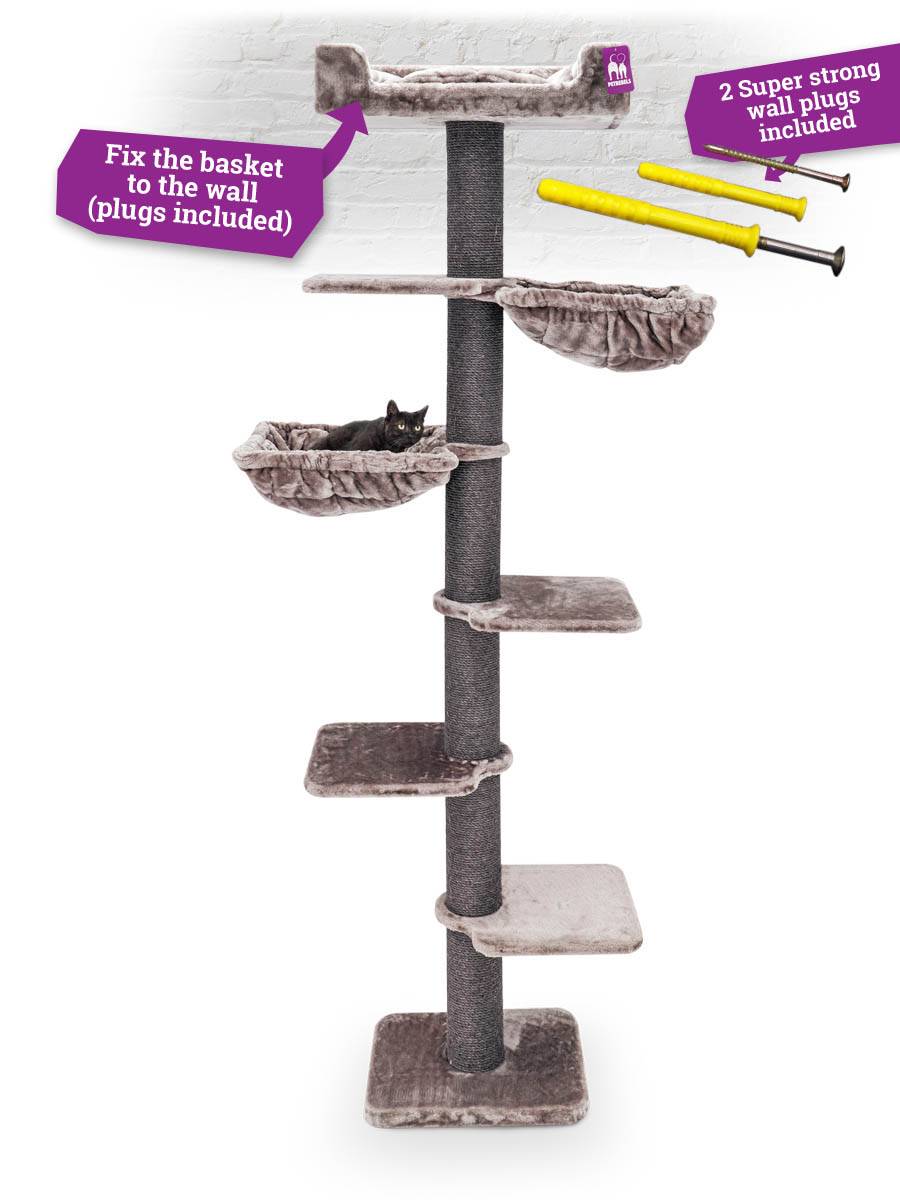 Cat Tree Expert: suitable for every cat | Petrebels