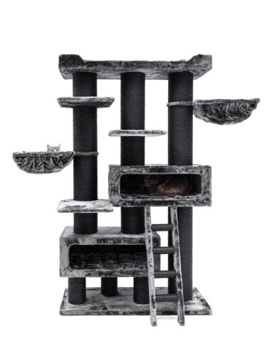 Cat Tree Expert: suitable for every cat | Petrebels