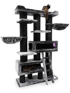 Cat Tree Expert: suitable for every cat | Petrebels