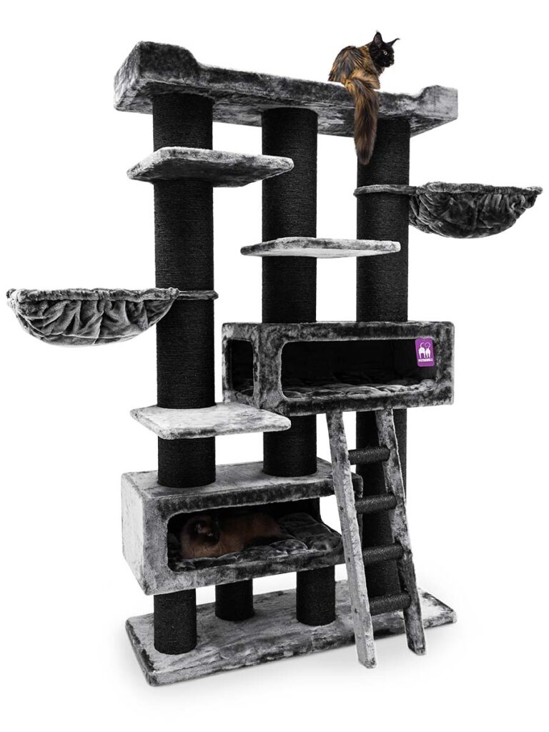Cat Tree Expert: suitable for every cat | Petrebels
