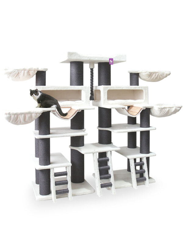 Cat tree for Maine Coon - Petrebels