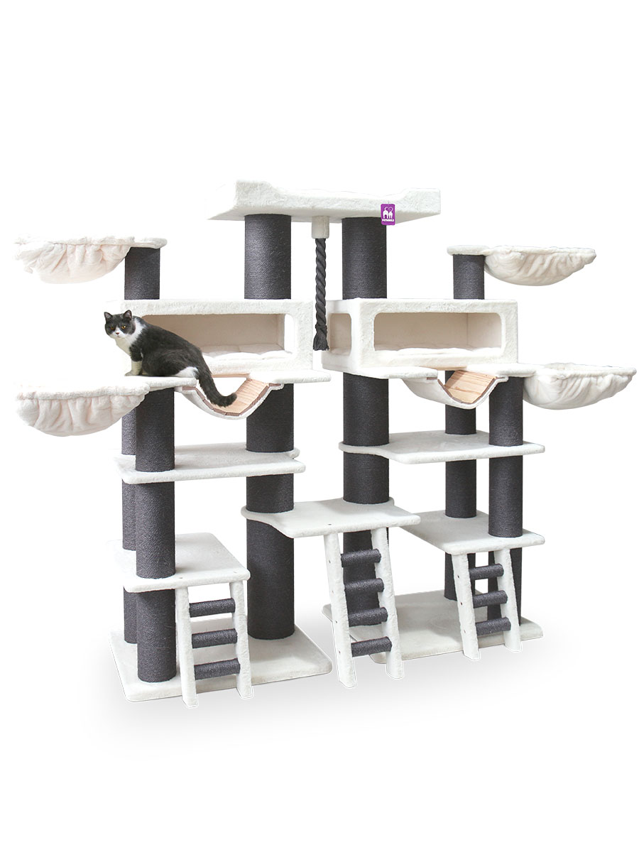 Cat trees for Siberian Forest cats - Petrebels