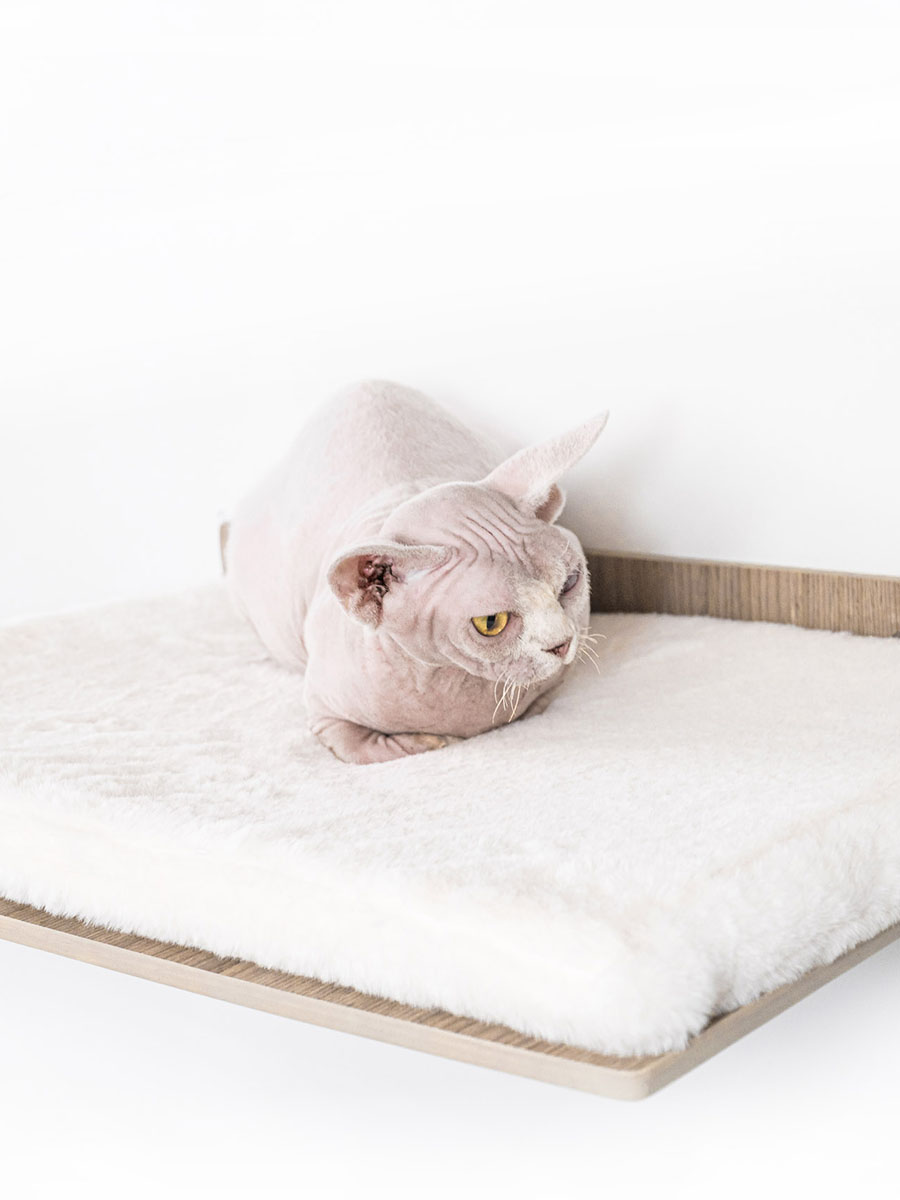 Cat Shelves Relax 50 - Old Grey - wall mounting - design - Petrebels