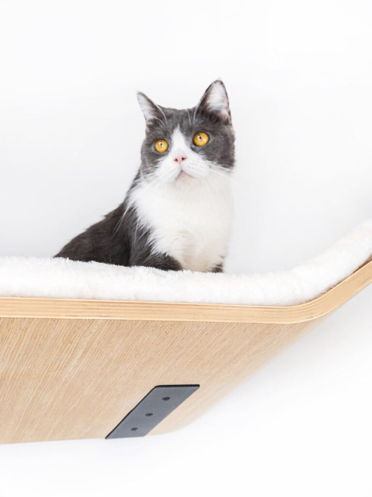 Cat Shelves Wave 70 - Petrebels