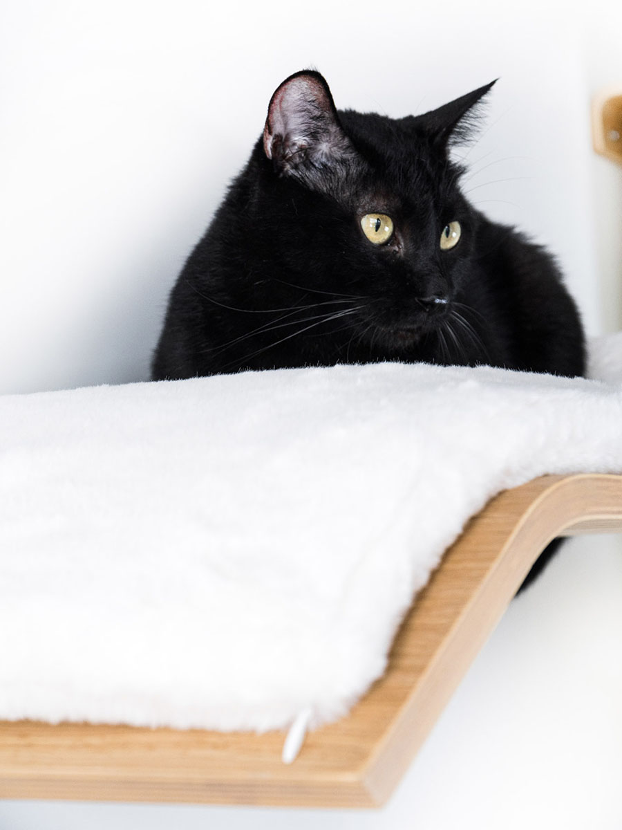 Cat Shelves Wave 70 - Rusty Oak - wall mounting - design - Petrebels