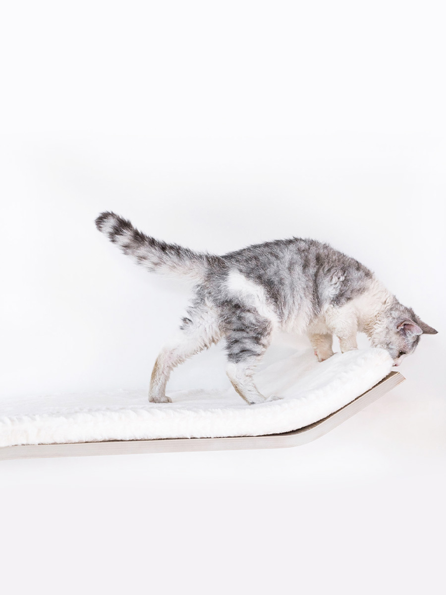Cat Shelves Wave 70 - Old Grey - wall mounting - design - Petrebels