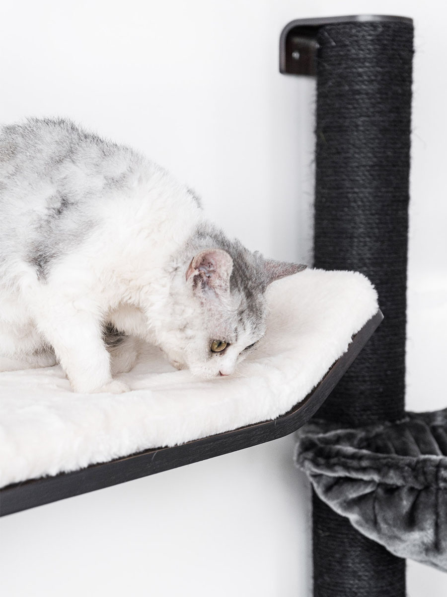 Cat Shelves Wave 70 - Wengé - wall mounting - design - Petrebels