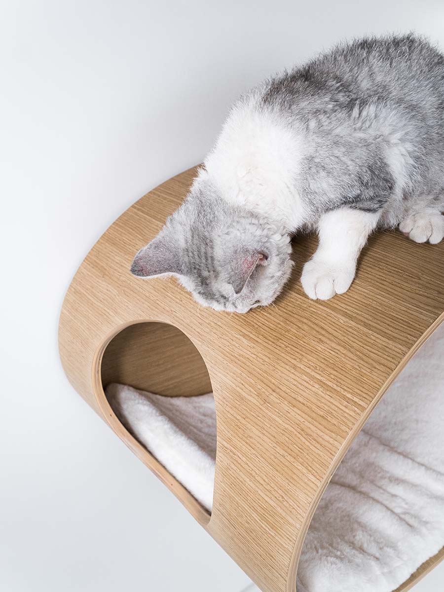 Cat Shelves Oval Office 60 - Rusty Oak - wall mounting - design - Petrebels