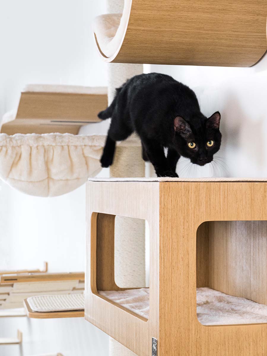 Cat Shelves Box 60 - Rusty Oak - wall mounting - design - Petrebels