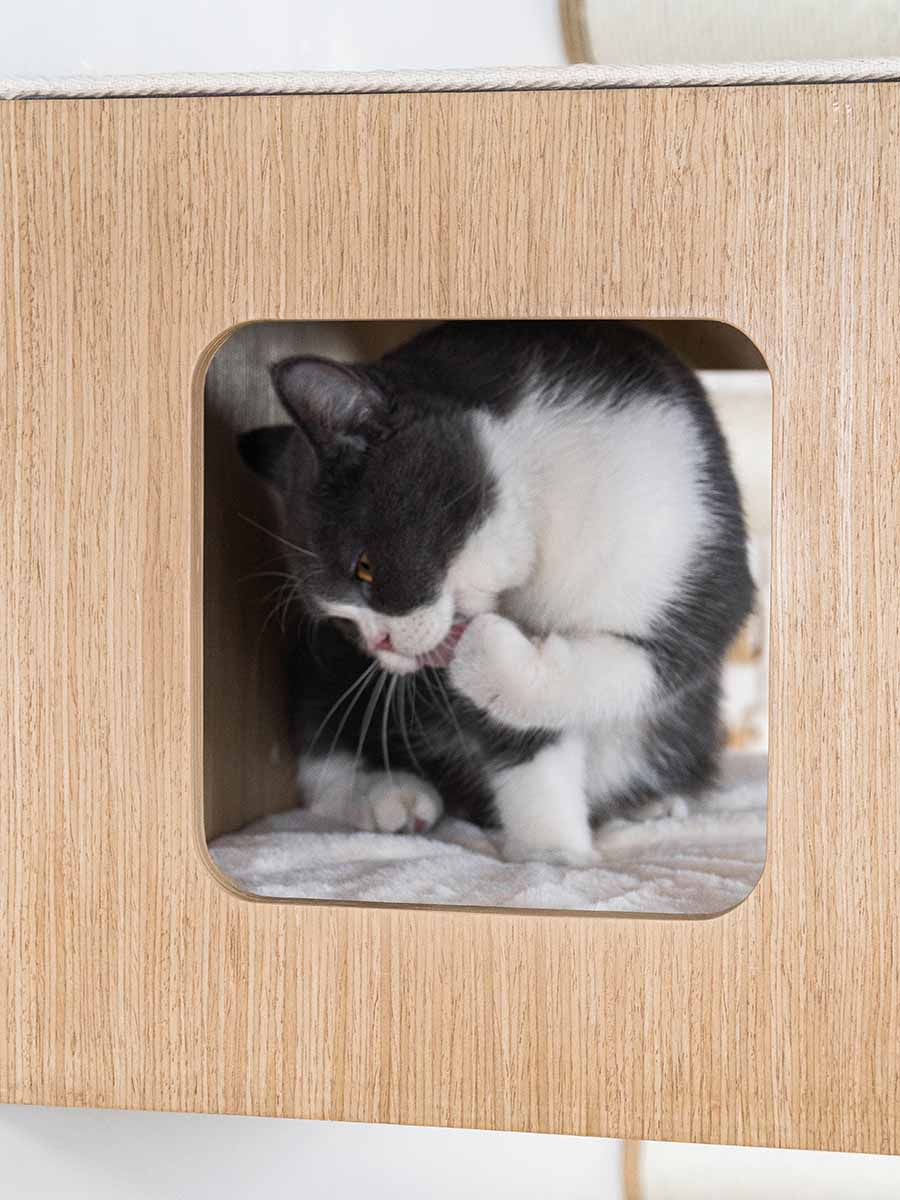 Cat Shelves Box 60 - Rusty Oak - wall mounting - design - Petrebels