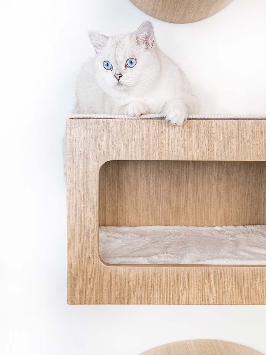 Cat Shelves Box 60 - Rusty Oak - wall mounting - design - Petrebels