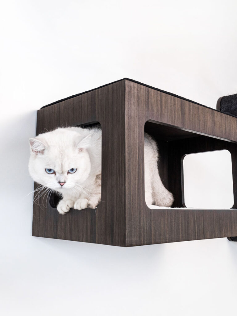 Cat Shelves Box 60 - Petrebels