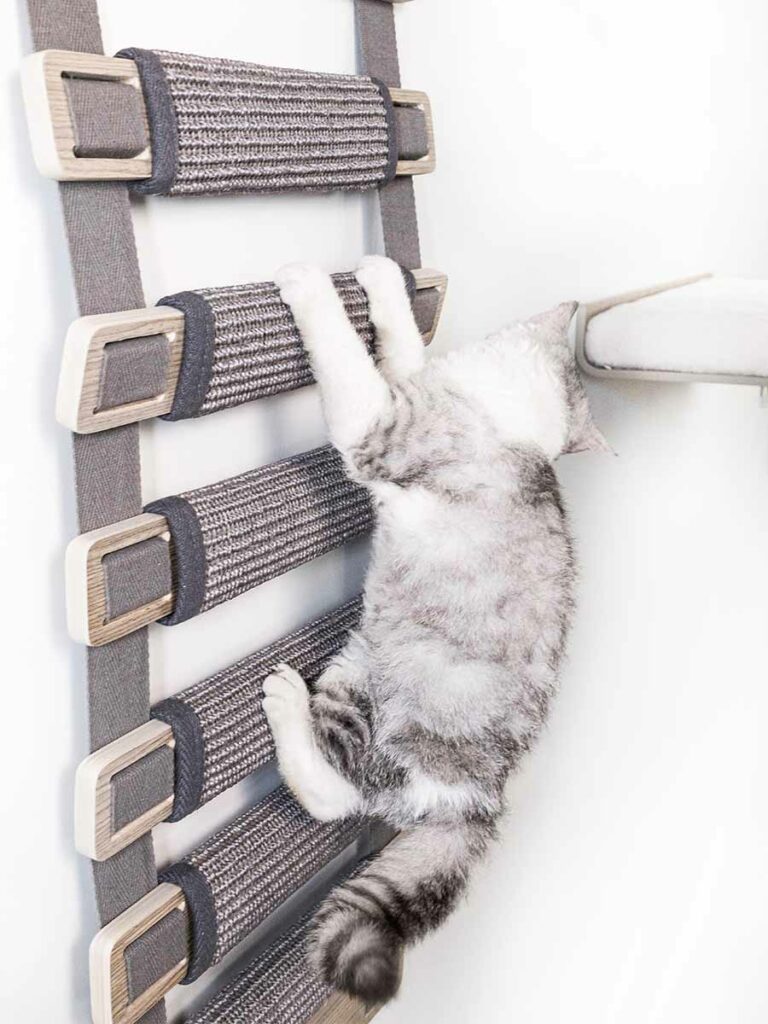 Cat Shelves Ladder 91 - Petrebels