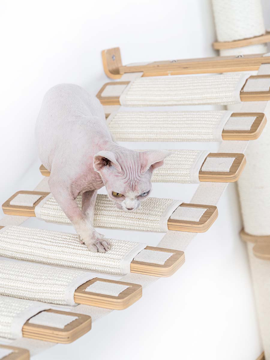 Cat Shelves Bridge 135 set - Petrebels