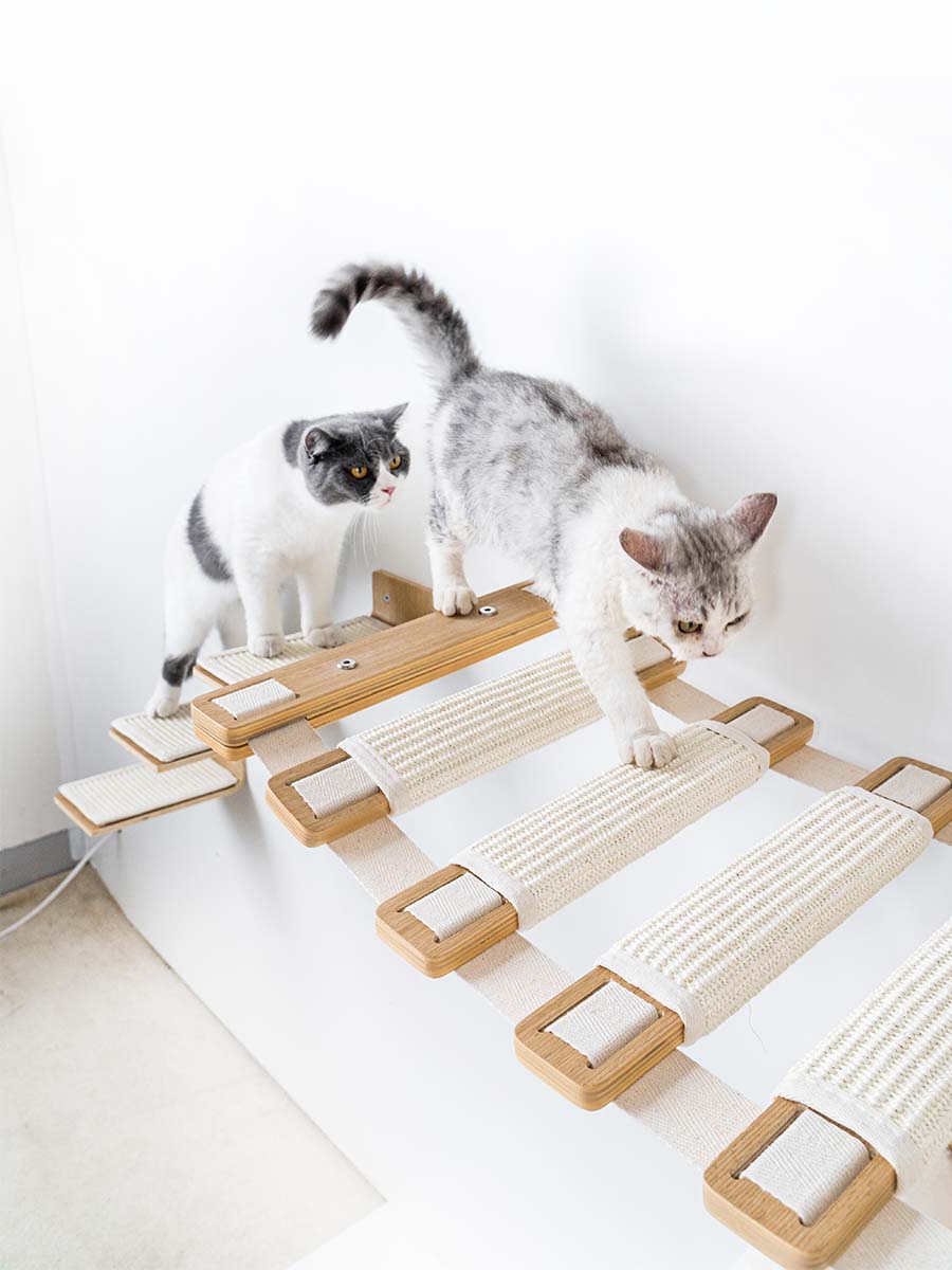 Cat Shelves Bridge 135 set - Petrebels