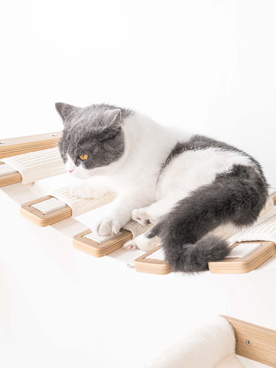 Cat Shelves Bridge 135 set - Petrebels