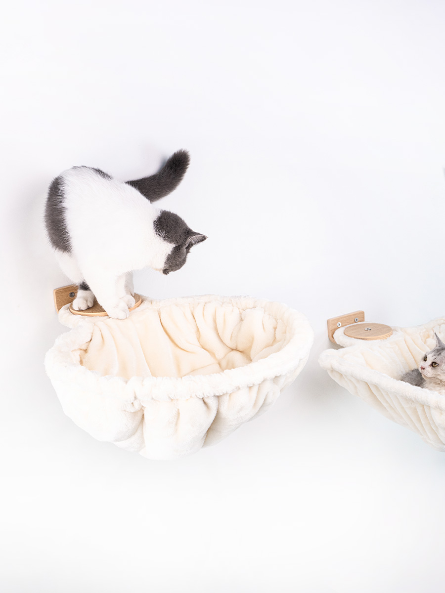 Cat Shelves Hang Round 1548 set - Petrebels