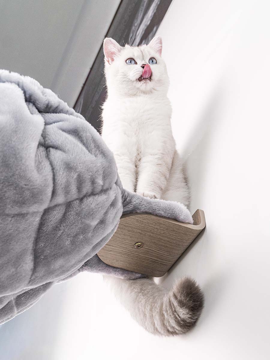 Cat Shelves Hang Round 1548 set - Petrebels