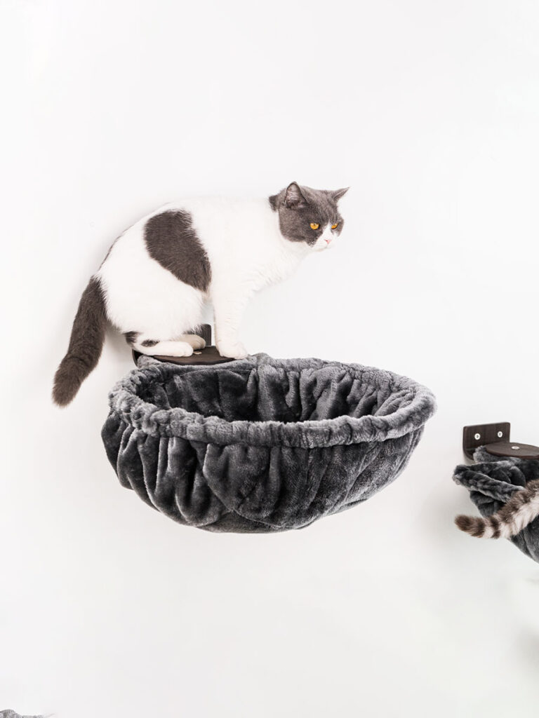 Cat Shelves Hang Round 1548 set - Petrebels