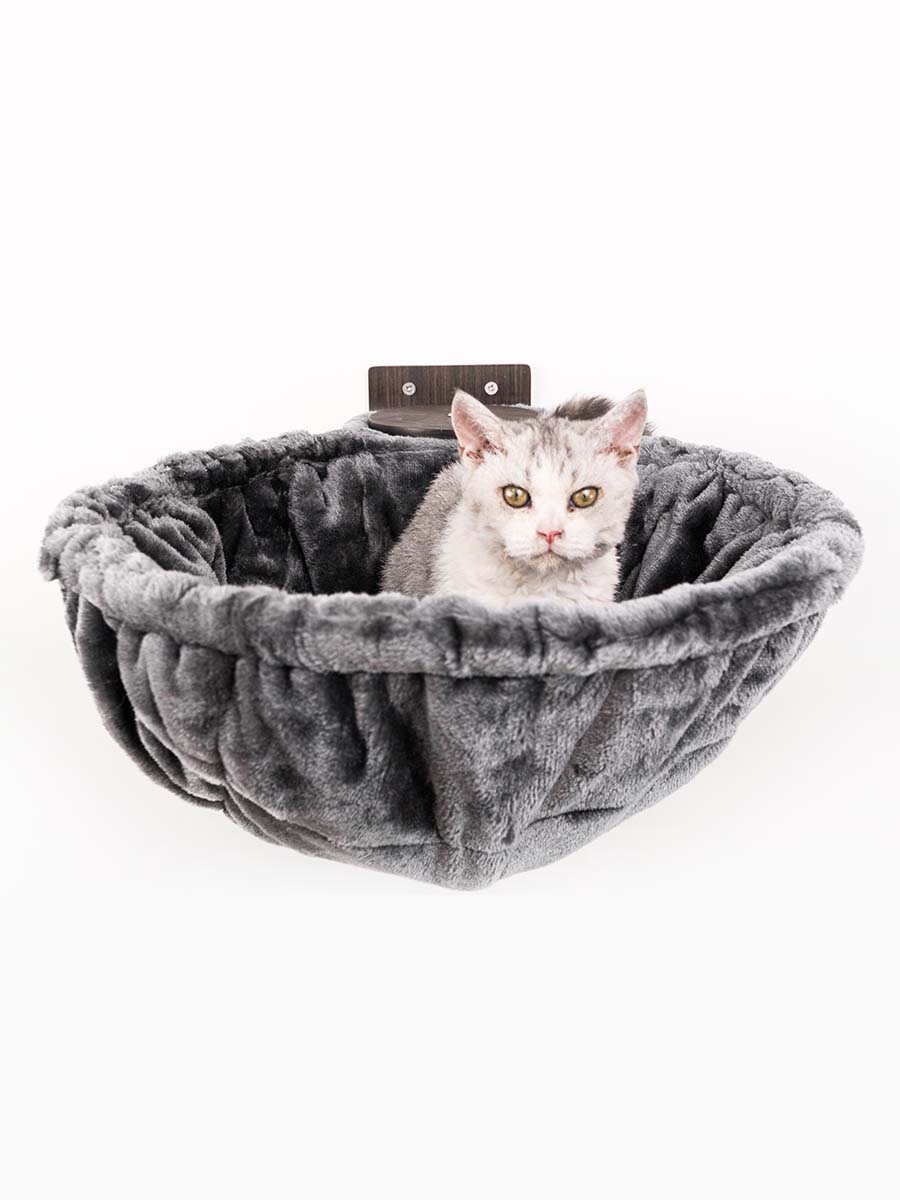 Cat Shelves Hang Round 1548 set - Petrebels