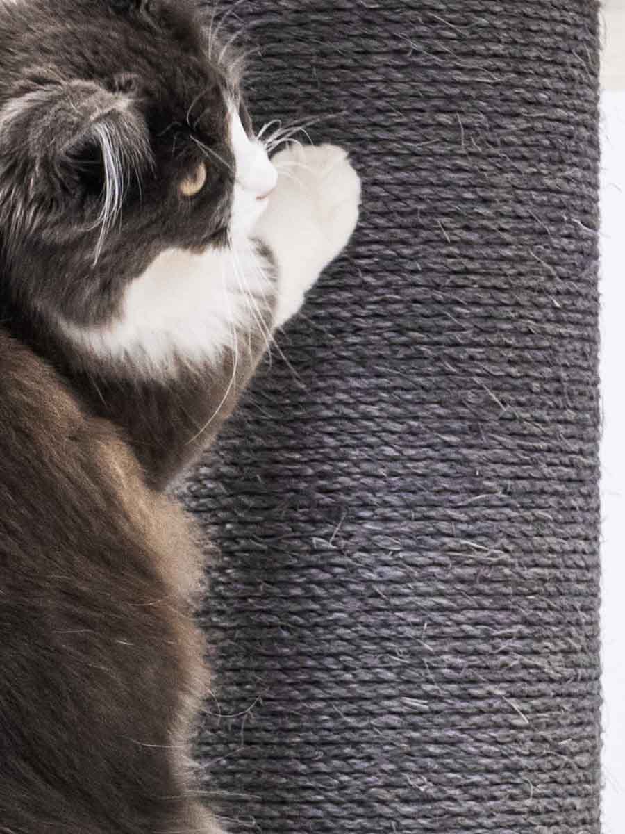 Cat Shelves Post 2080 Grey - Old Grey - 20cm Post - 80 cm - Petrebels