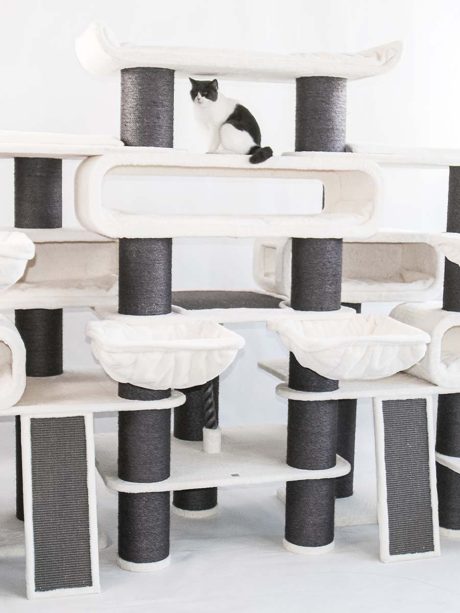 Cat Tree Expert: suitable for every cat | Petrebels